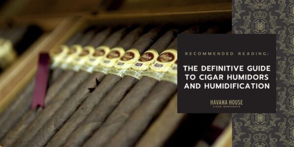 Common Problems With Humidors and How to Fix Them | Havana House